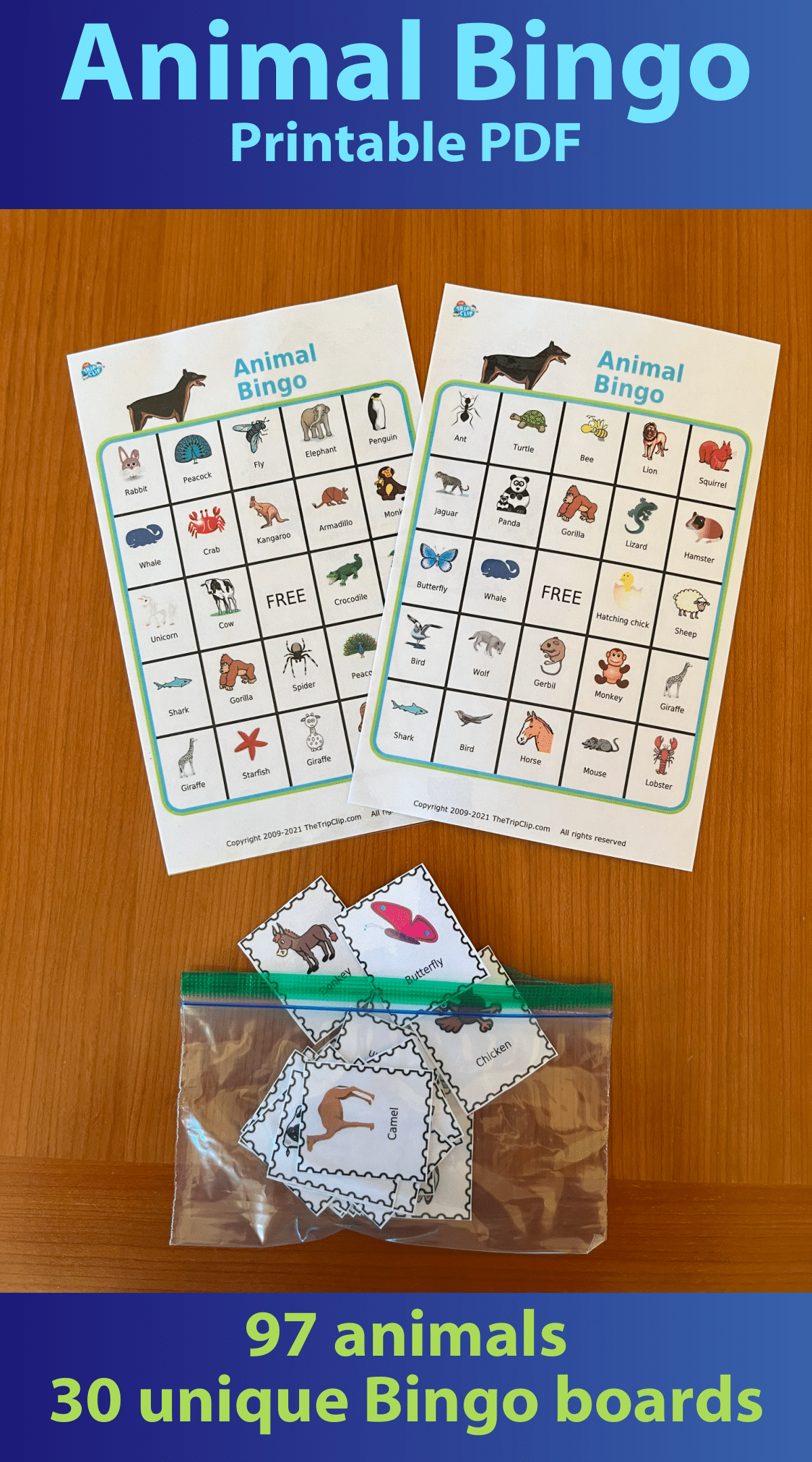 Animal BINGO (PDF)